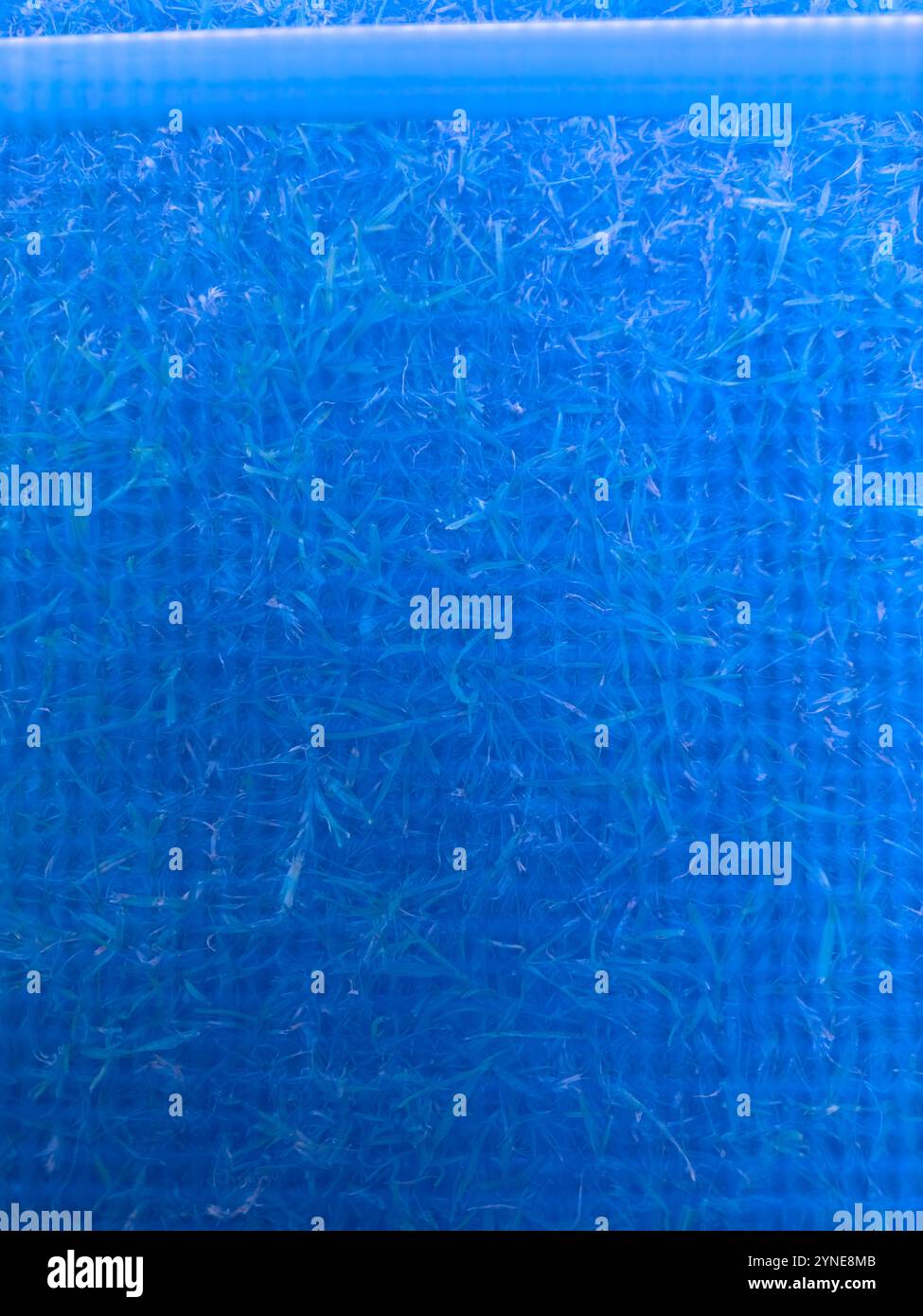 Showcasing unique surface patterns hi-res stock photography and images ...