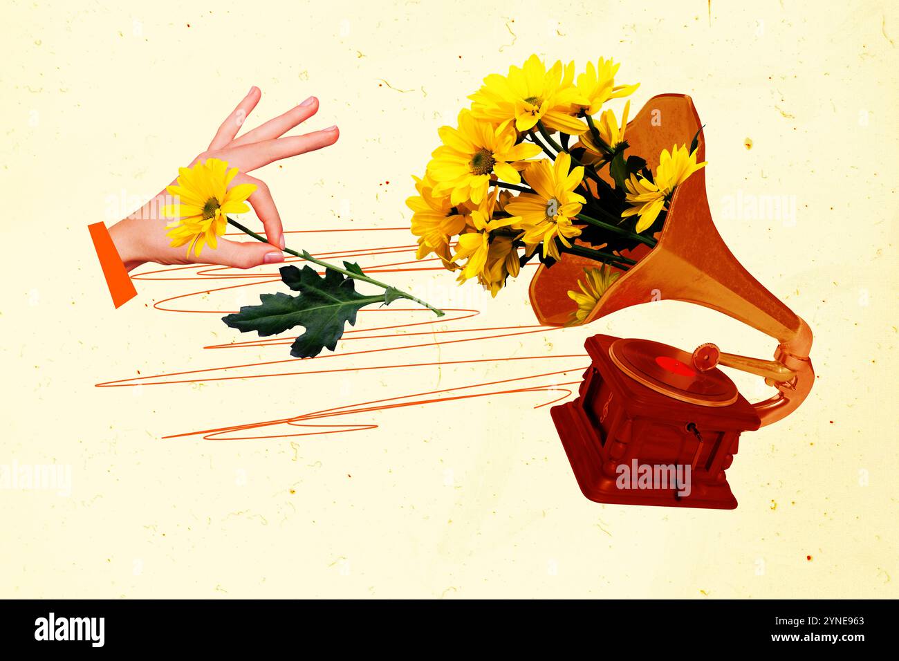 Composite photo collage of hand hold chrysanthemum flower bouquet retro ...