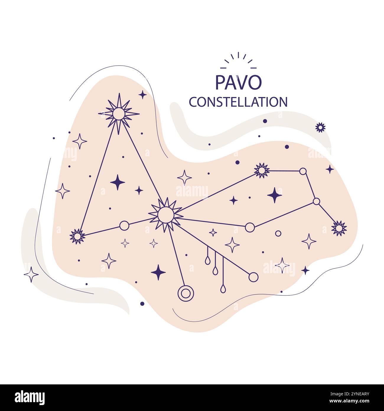 Pavo or peacock constellation of stars of the northern hemisphere on a ...