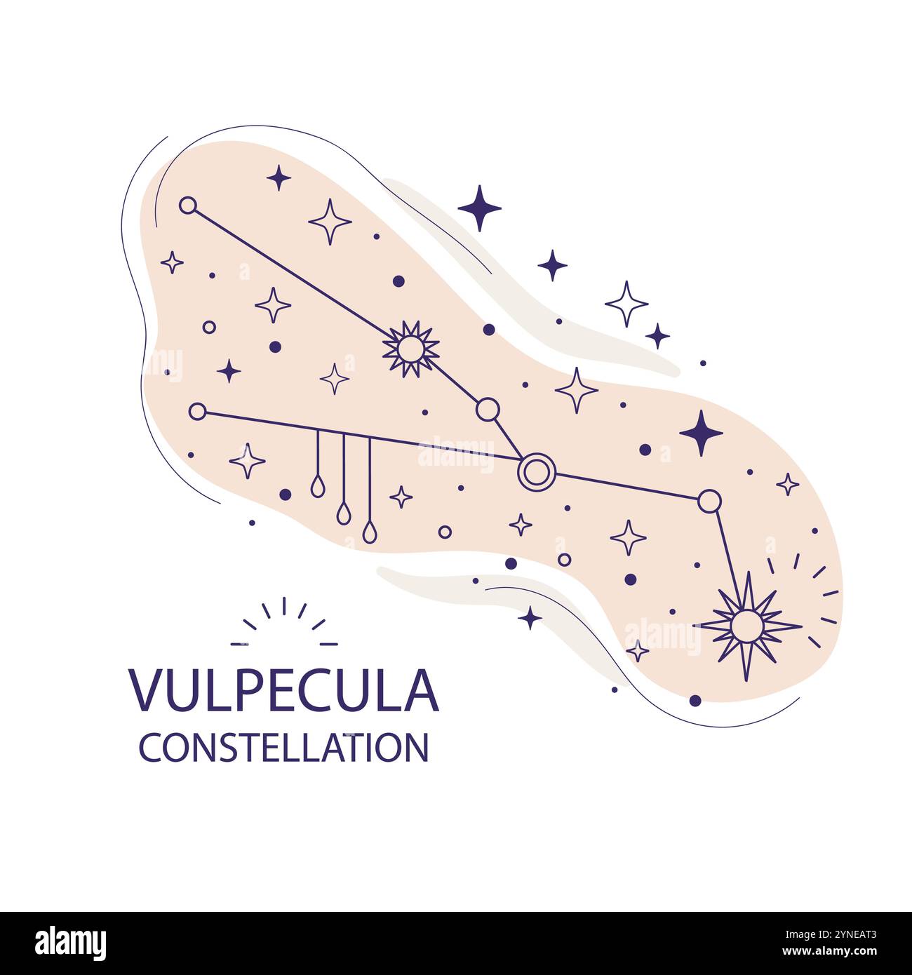 Vulpecula or little fox constellation of stars of the northern hemisphere on a white background ...