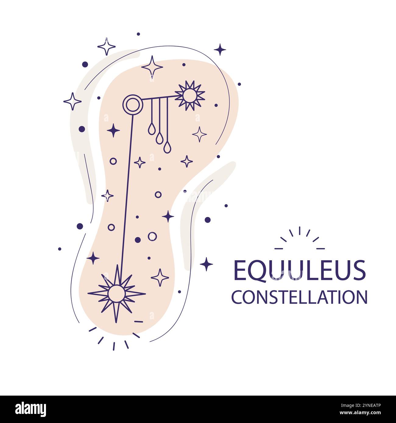 Equuleus or little horse constellation of stars of the northern ...