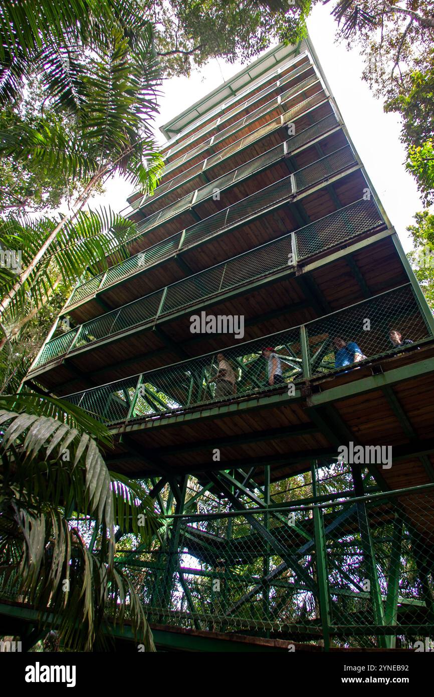 Smithsonian Tropical Research Institute Stock Photo - Alamy