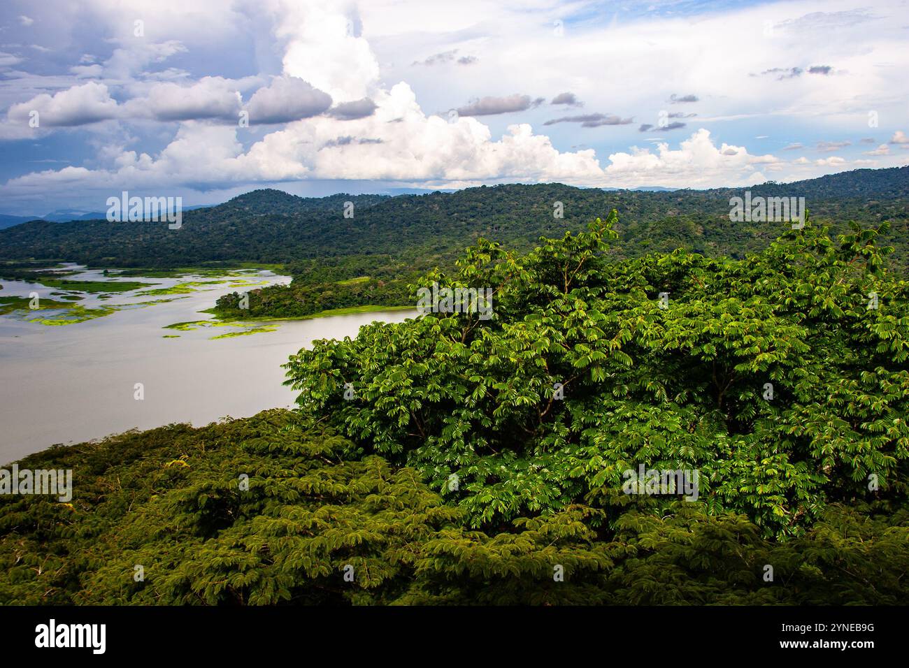 Metropolitan Natural Park Panama Stock Photo - Alamy