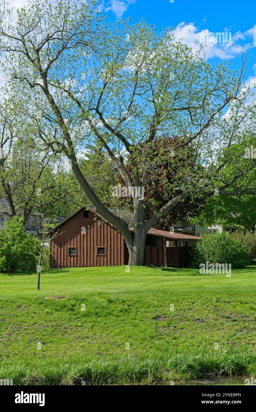 Board and Batten wood frame barn under freshly sprouted trees in ...