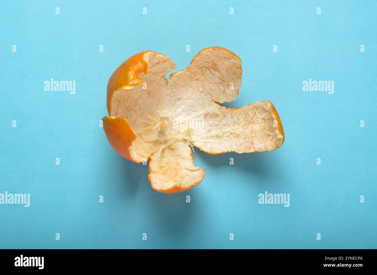 Piece of open orange peel showing inside surface top view on blue ...