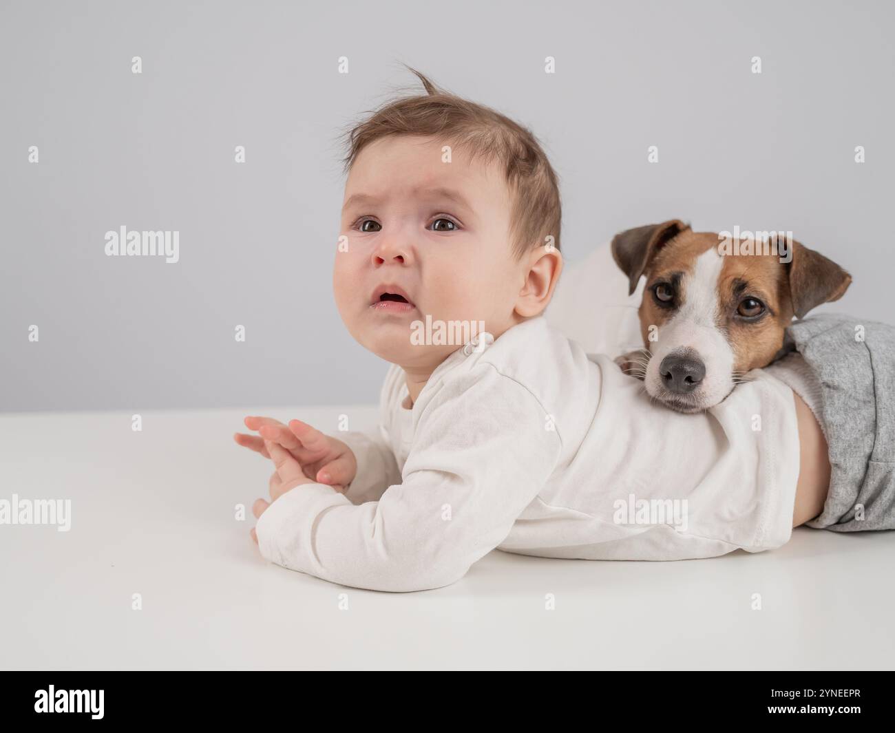 Cute baby boy and Jack Russell terrier dog lying in an embrace on a ...