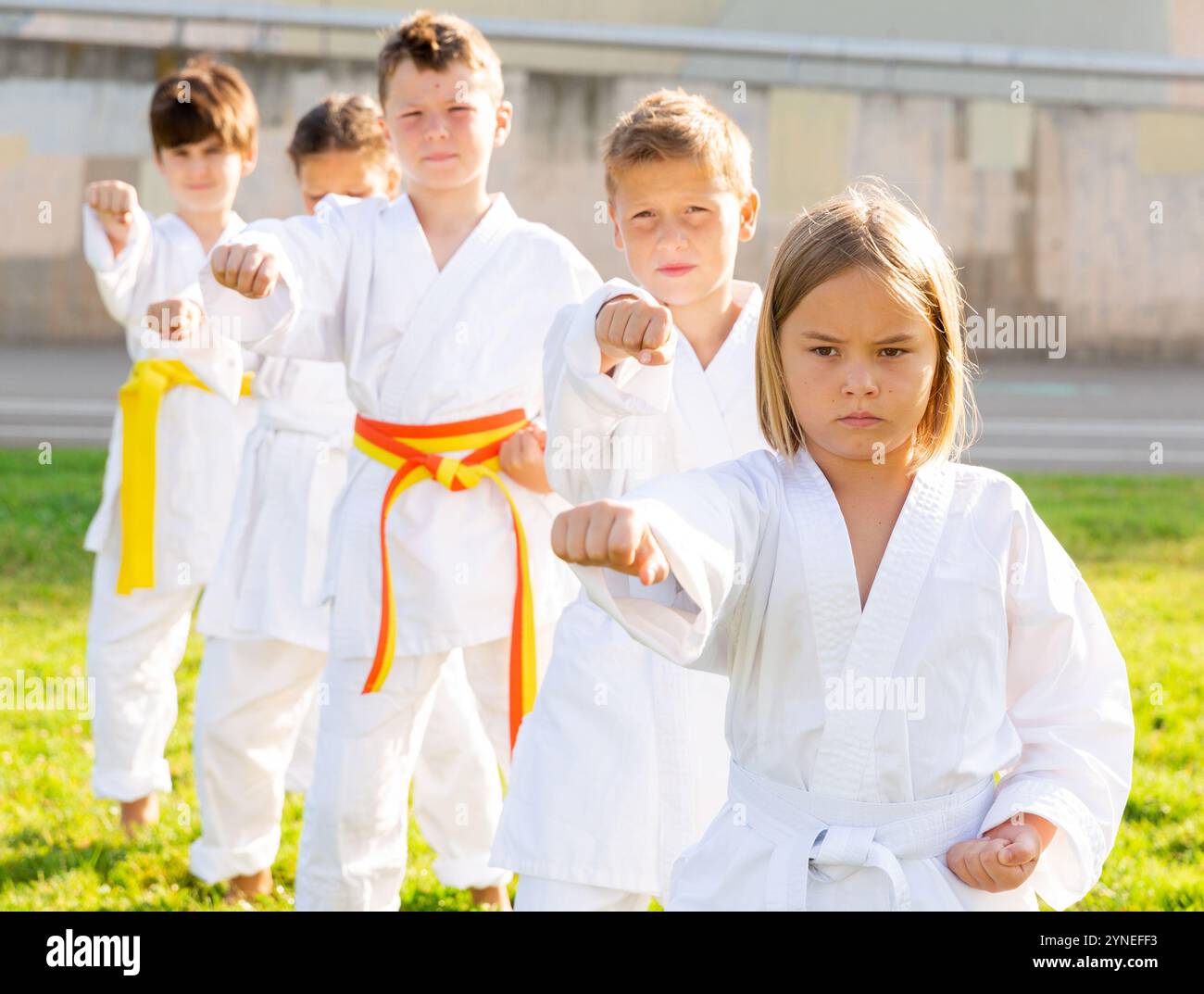 Tween girls and boys exercising taekwondo techniques on green lawn ...