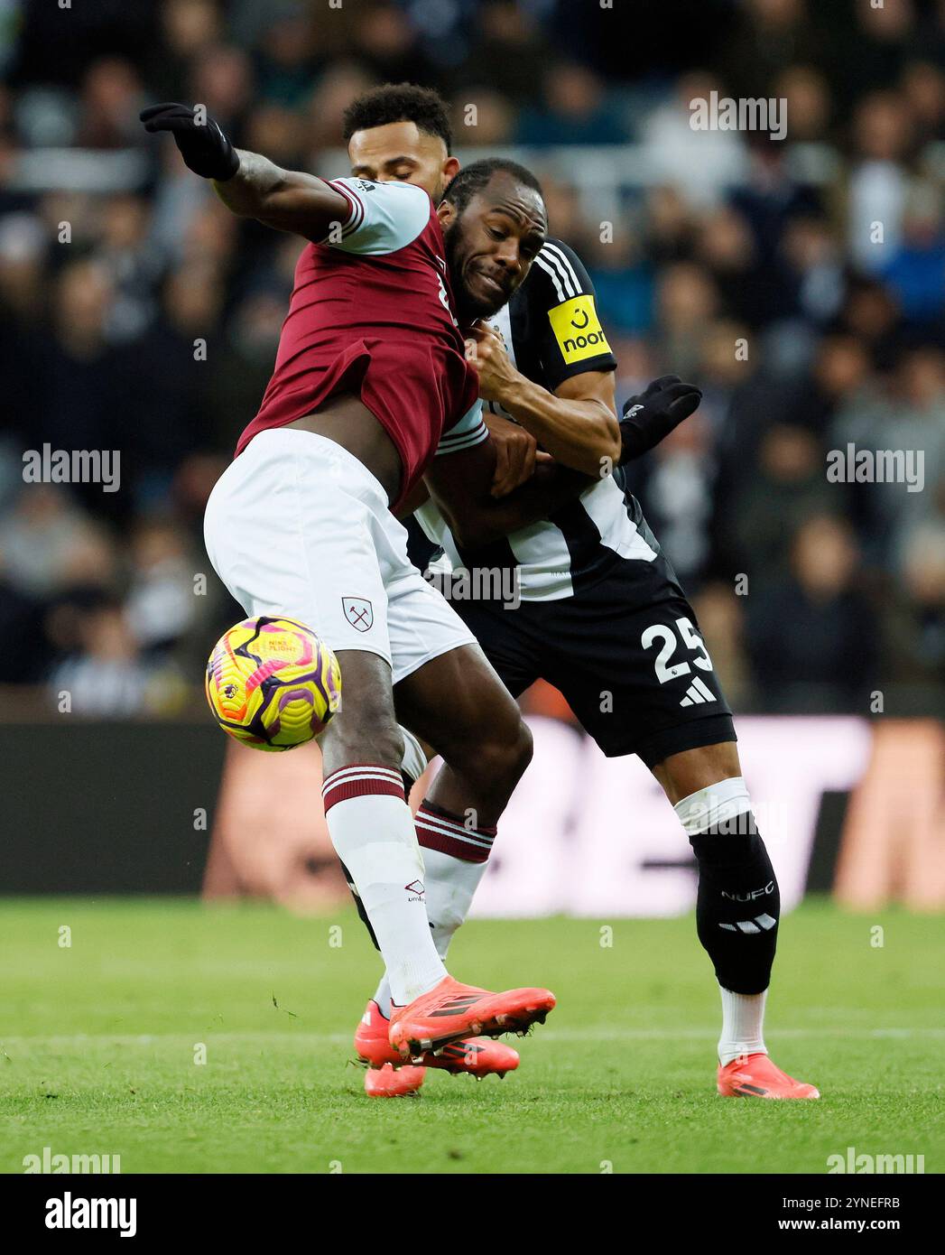 Lloyd kelly st james park hi-res stock photography and images - Alamy