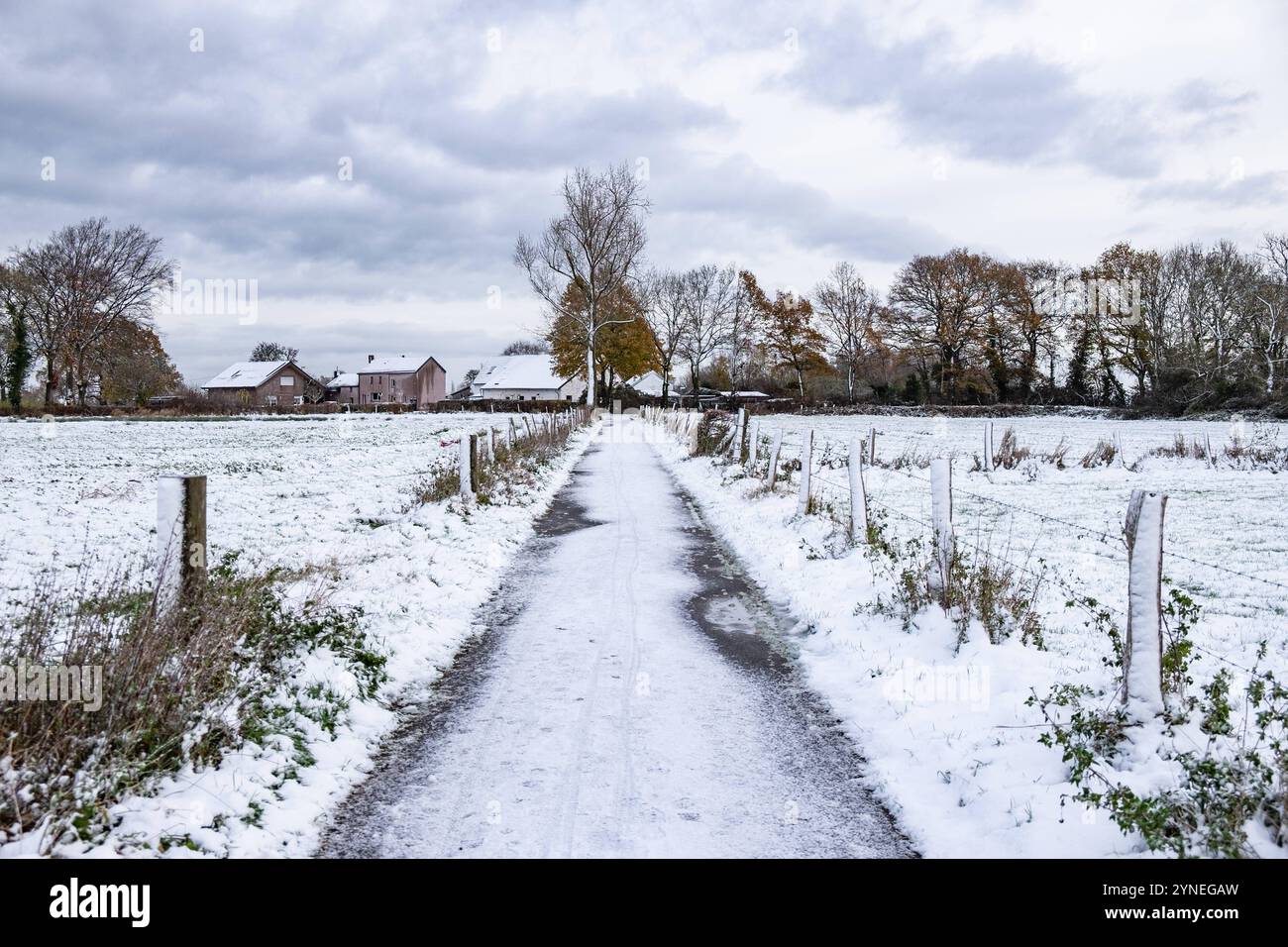 Verschneite Weiden in Aachen am 21. November 2024. GERMANY - AACHEN ...