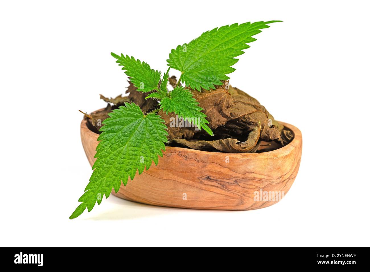 Dried nettle leaves against a white background Stock Photo - Alamy
