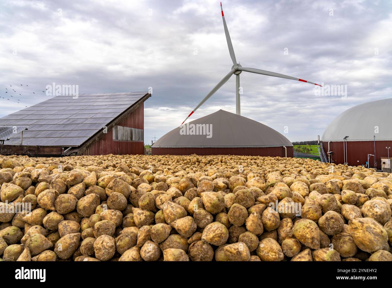 Windenergie biomasse hi-res stock photography and images - Alamy