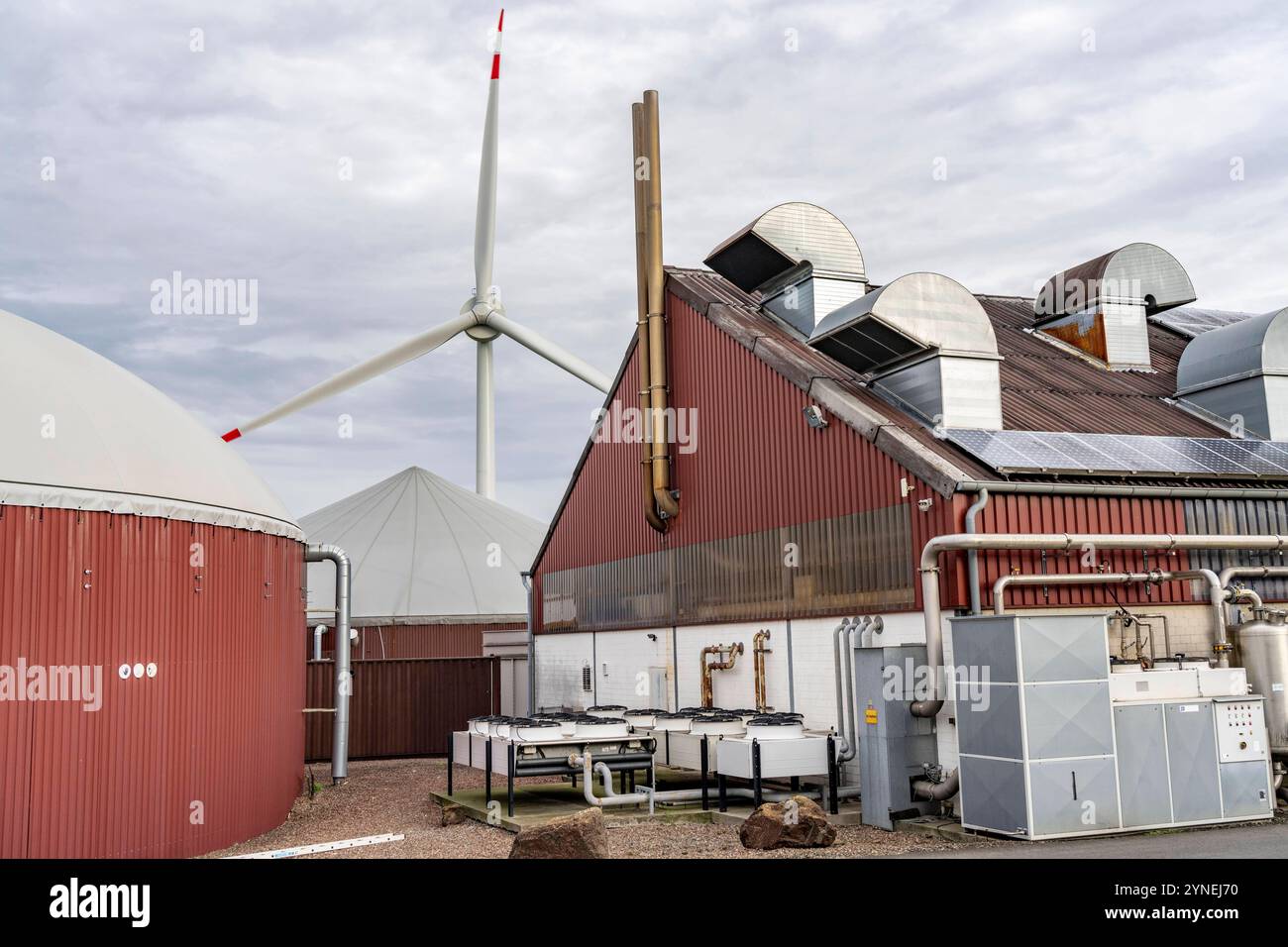 Biogasanlage erzeugt Gas aus verschiedener Biomasse, der Strom wird in ...