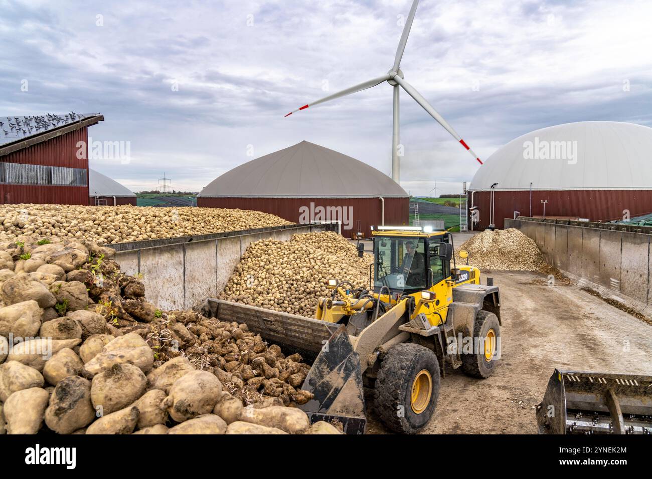 Biogasanlage erzeugt Gas aus verschiedener Biomasse, hier das ...
