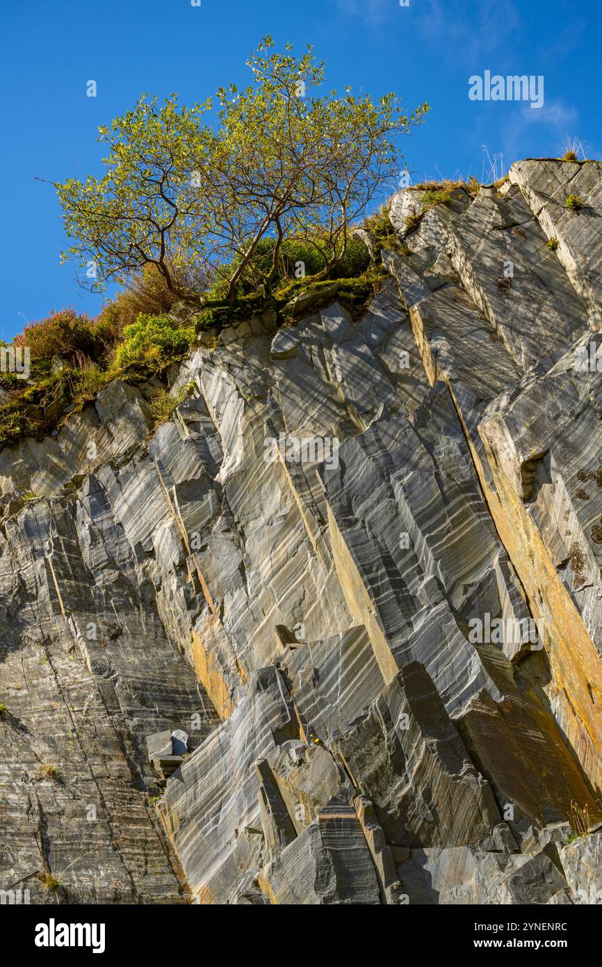 Cwm Ystradllyn and Gorseddau and Prince of Wales Slate Quarries Stock ...