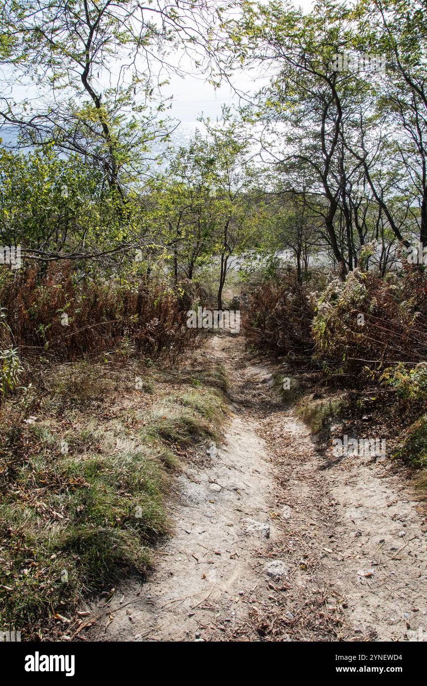Trail to Toronto Harbour Lighthouse at Tommy Thompson Park in ...
