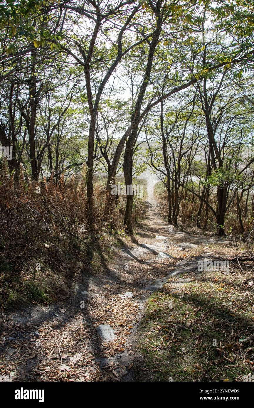 Trail to Toronto Harbour Lighthouse at Tommy Thompson Park in ...
