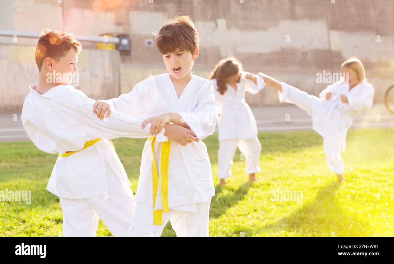 Tweens mastering karate techniques in pairs on green lawn Stock Photo ...
