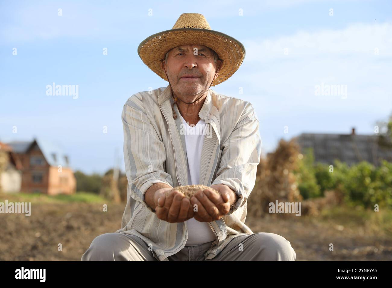 Farmer man holding wheat grains hi-res stock photography and images - Alamy