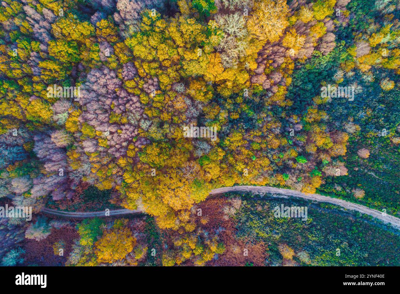 Vertical video nature aerial view hi-res stock photography and images - Alamy