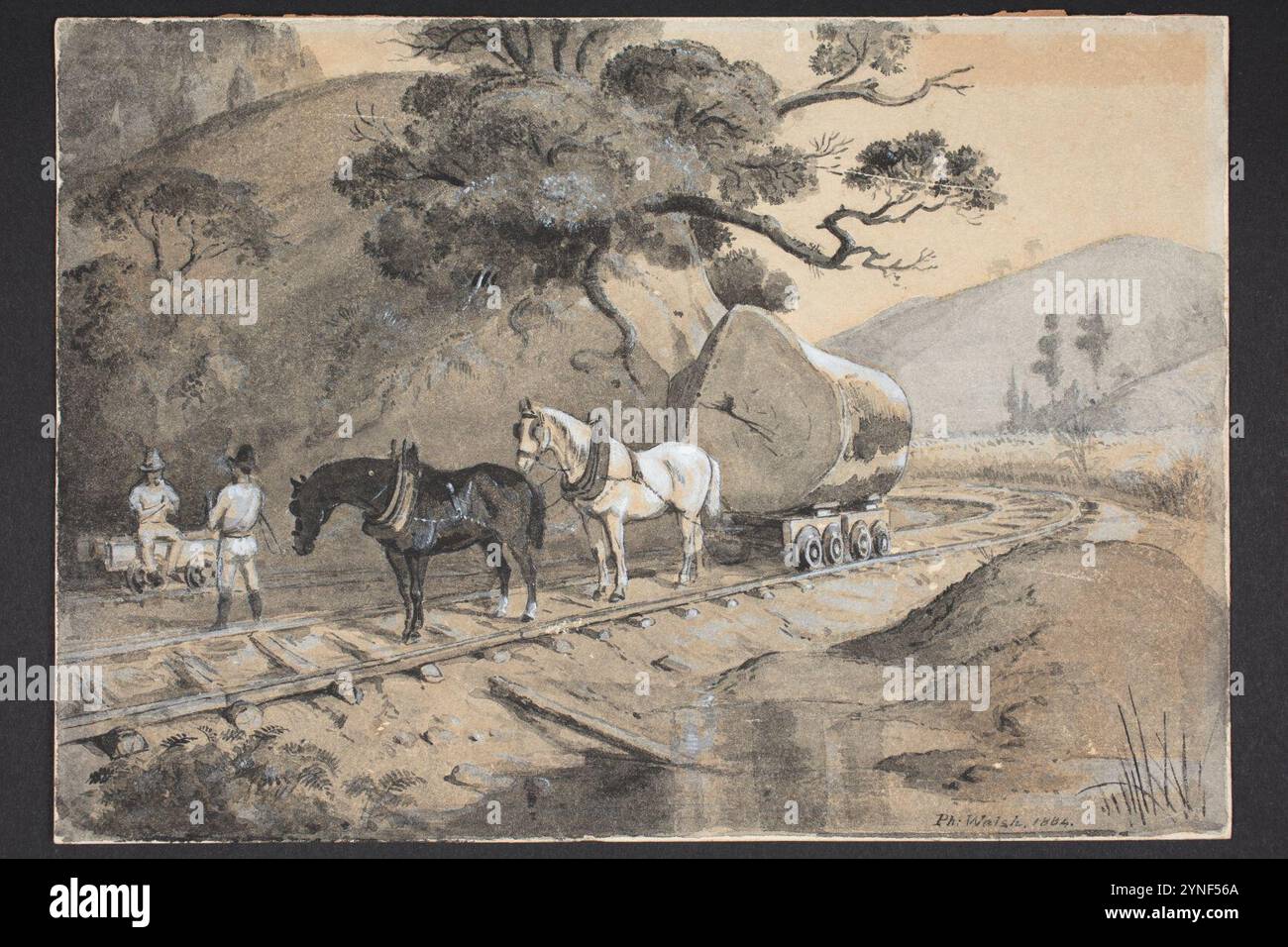 Bush railway with horses drawing kauri logs (48752319803 Stock Photo ...