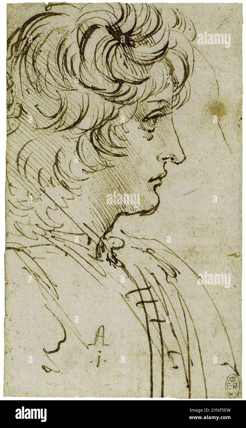 Bust of a Youth in Profile - Leonardo da Vinci Stock Photo - Alamy