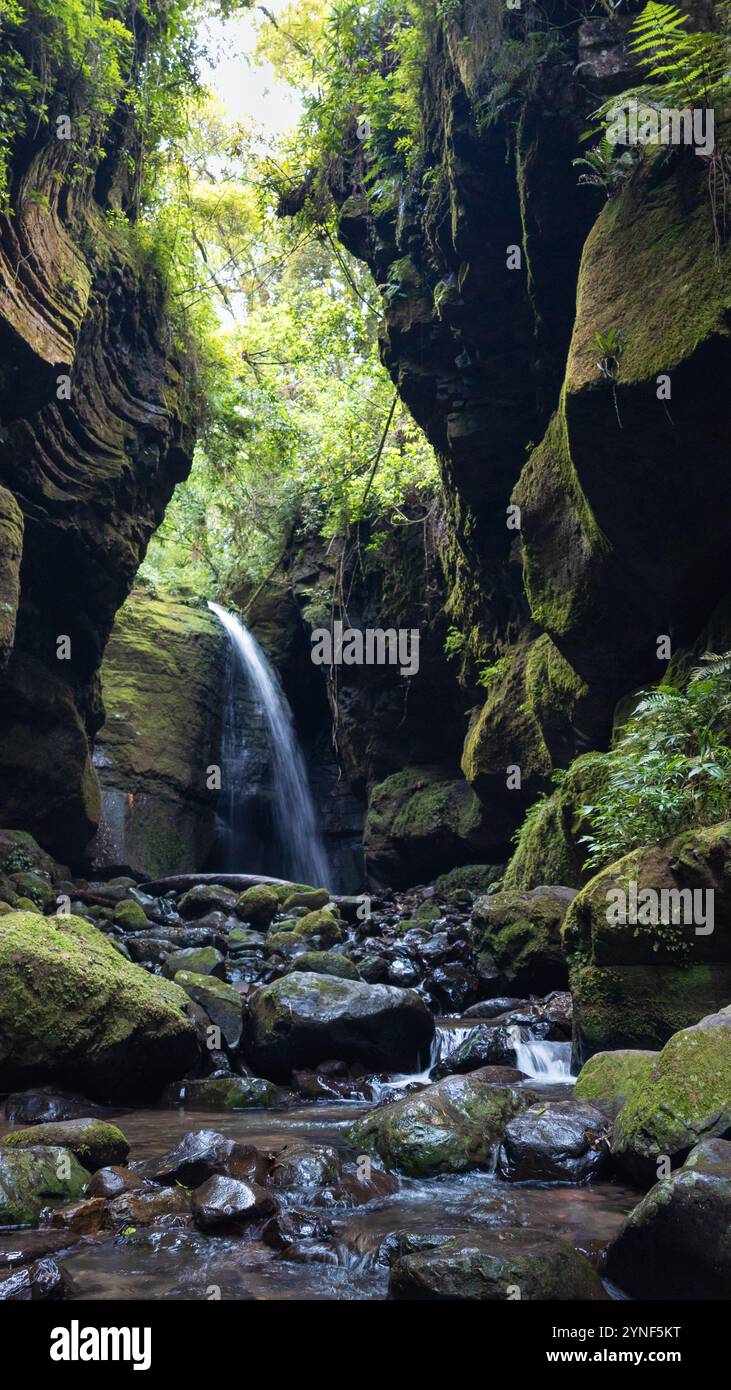 Soldados sebold hi-res stock photography and images - Alamy