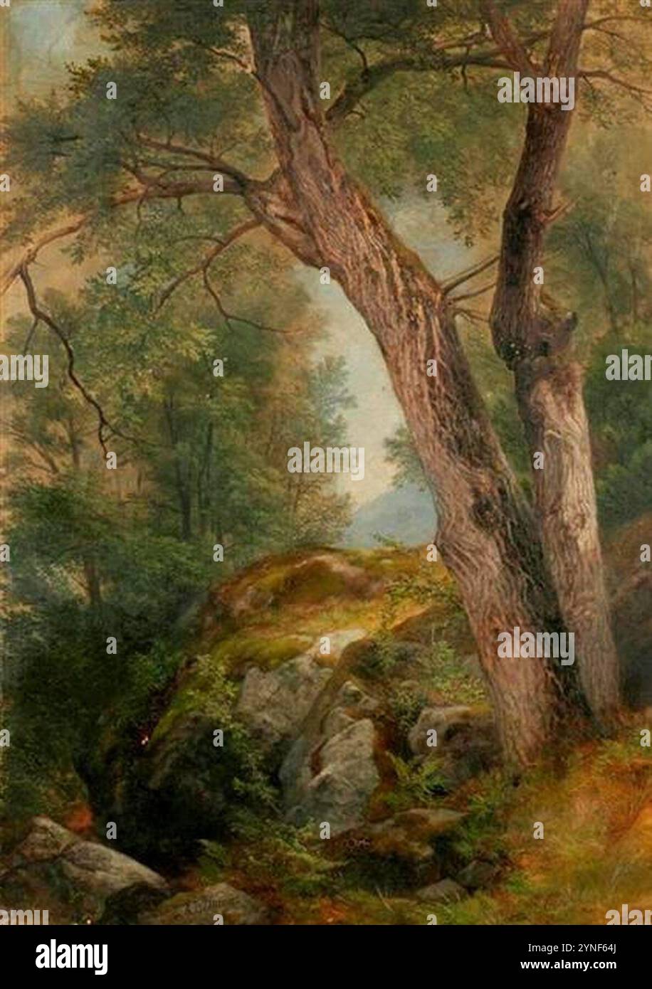 Butternut lake hi-res stock photography and images - Alamy