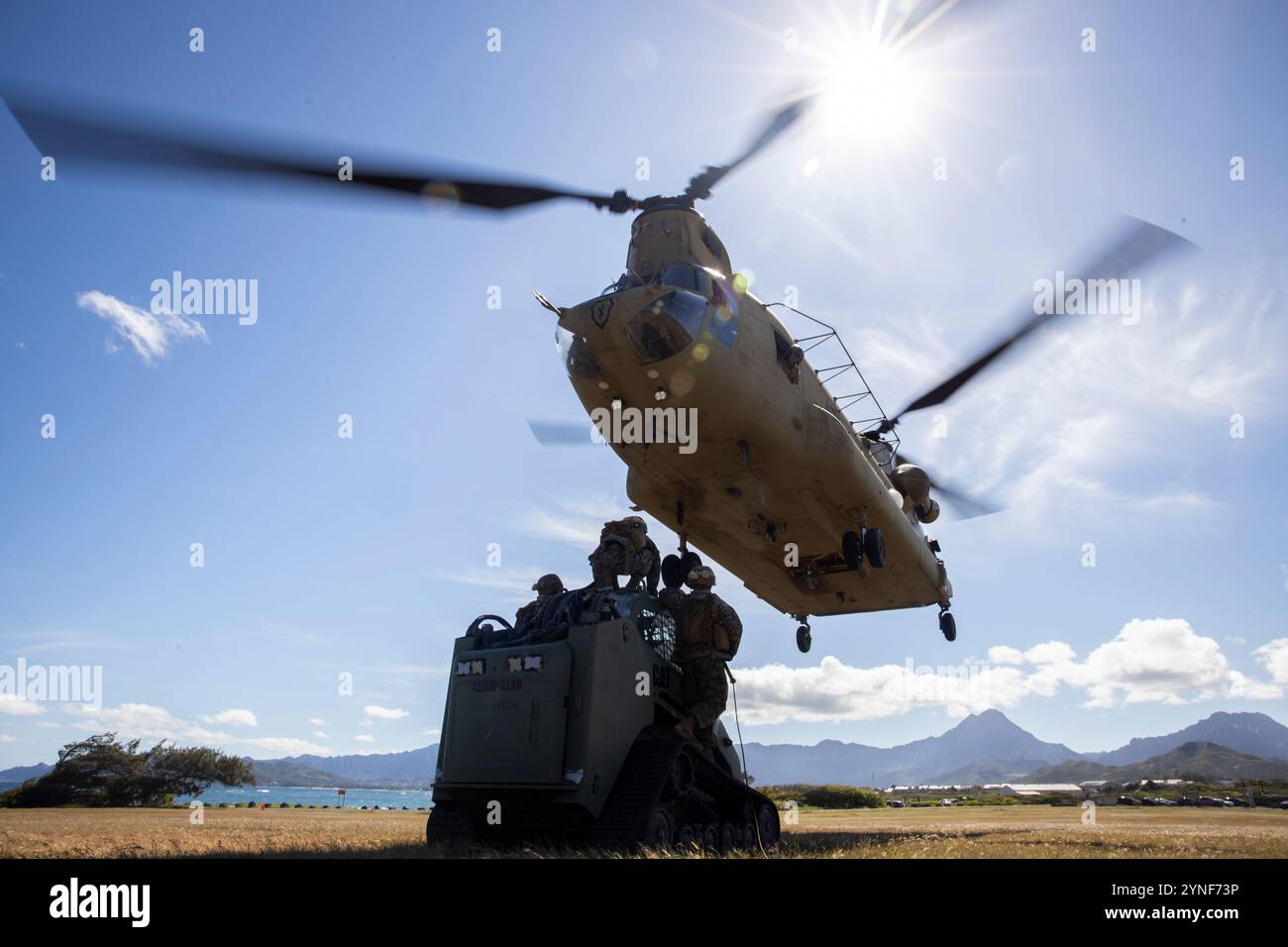 U.S. Marines with Combat Logistics Company 33, Combat Logistics ...