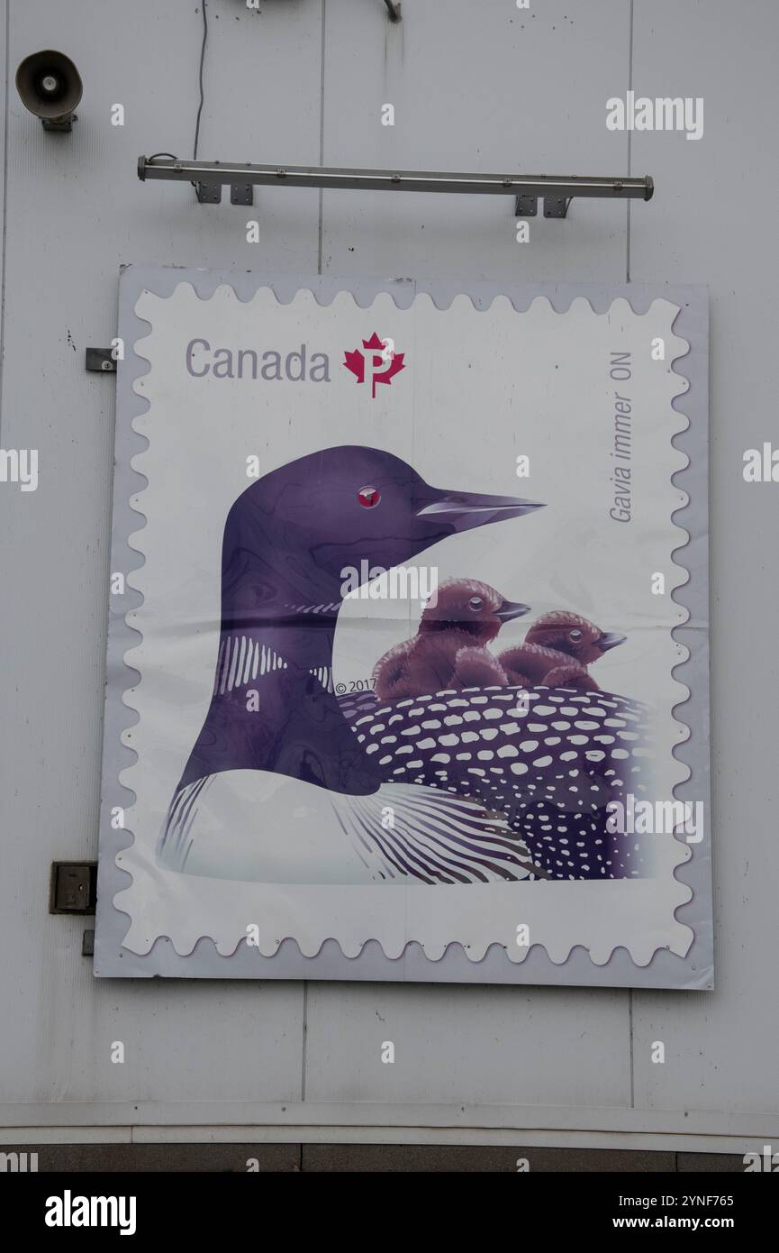 Common loon postage stamp mural at Canada Post Delivery Centre on ...