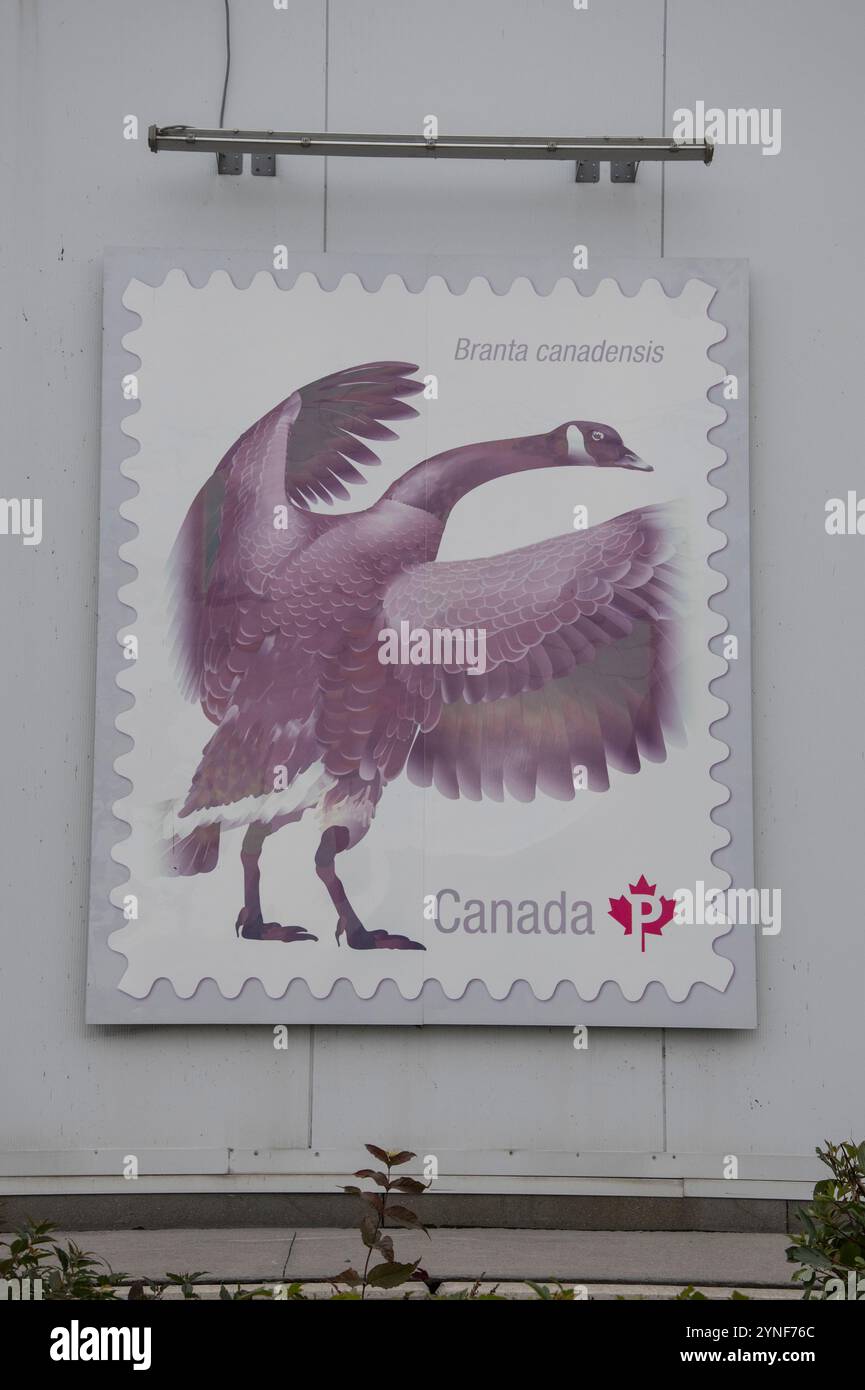 Canada goose postage stamp canada hi-res stock photography and images ...
