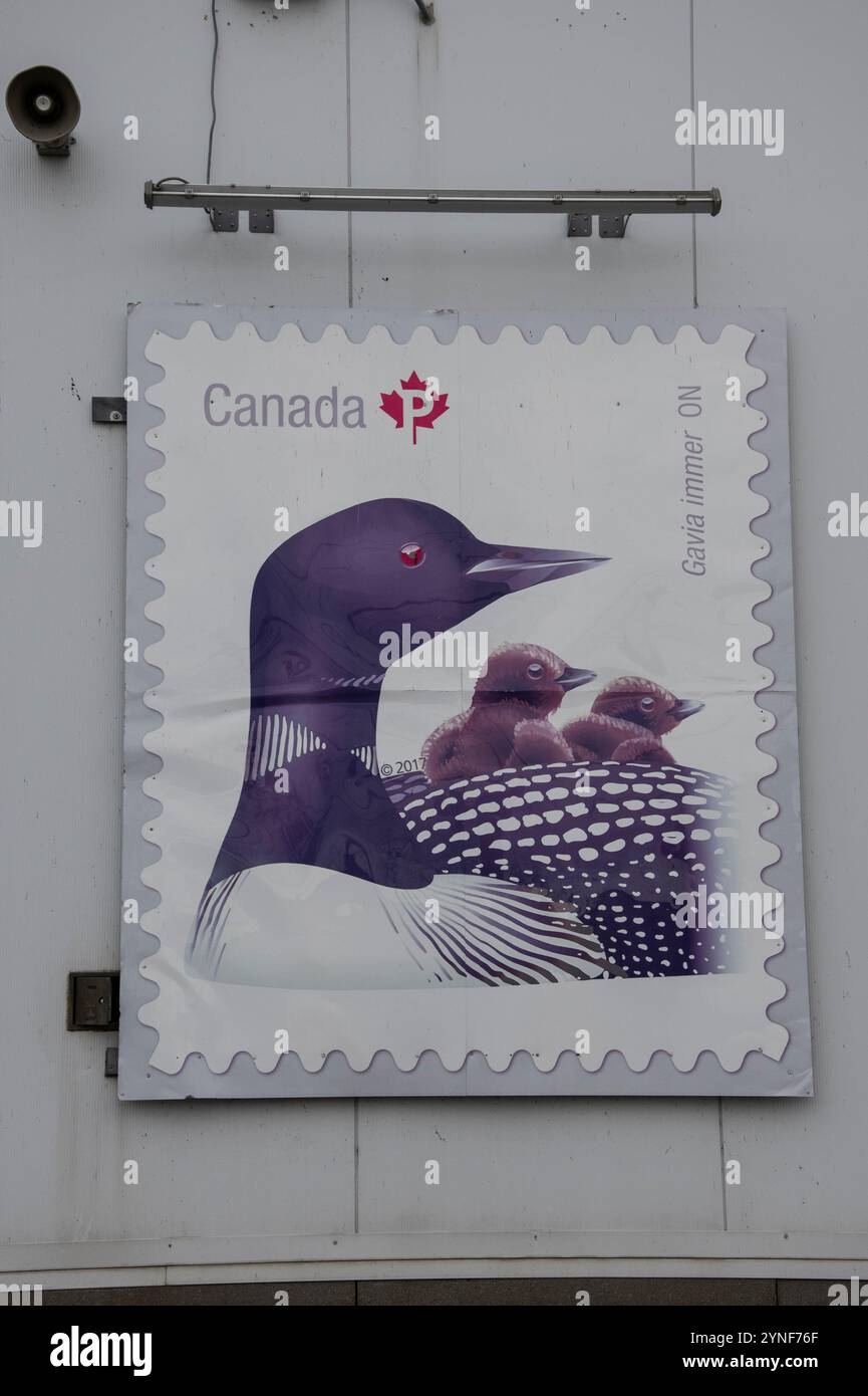 Common loon postage stamp mural at Canada Post Delivery Centre on ...
