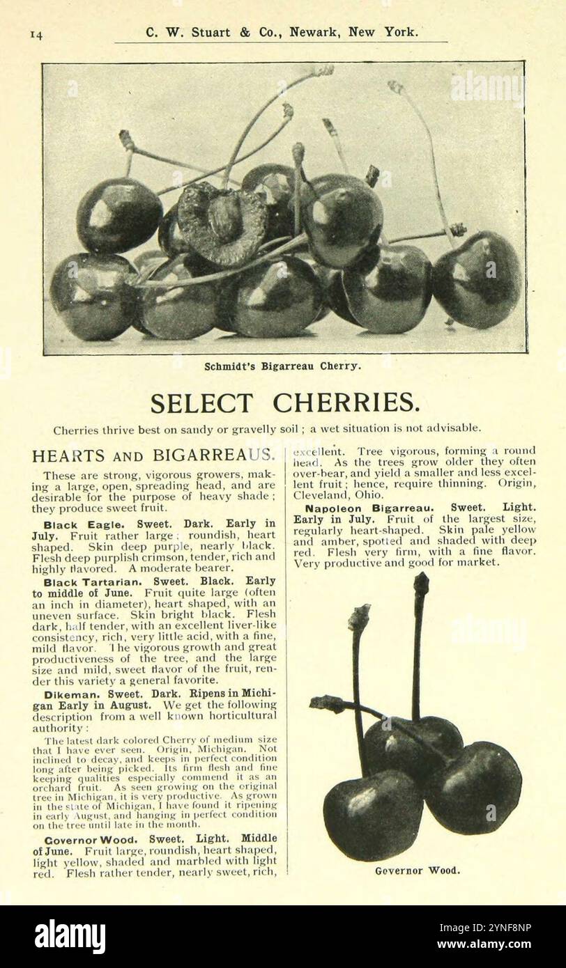 C.W. Stuart and Co. materials (Page 14 Stock Photo - Alamy