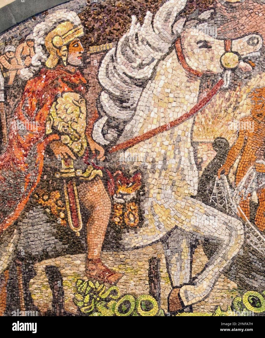 Caesar and his horse Stock Photo - Alamy