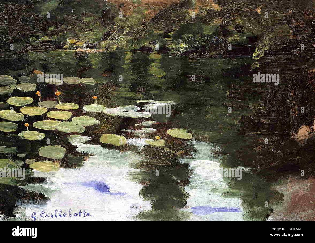 Caillebotte - Yerres, on the Pond, Water Lilies, circa 1871-1878 Stock ...