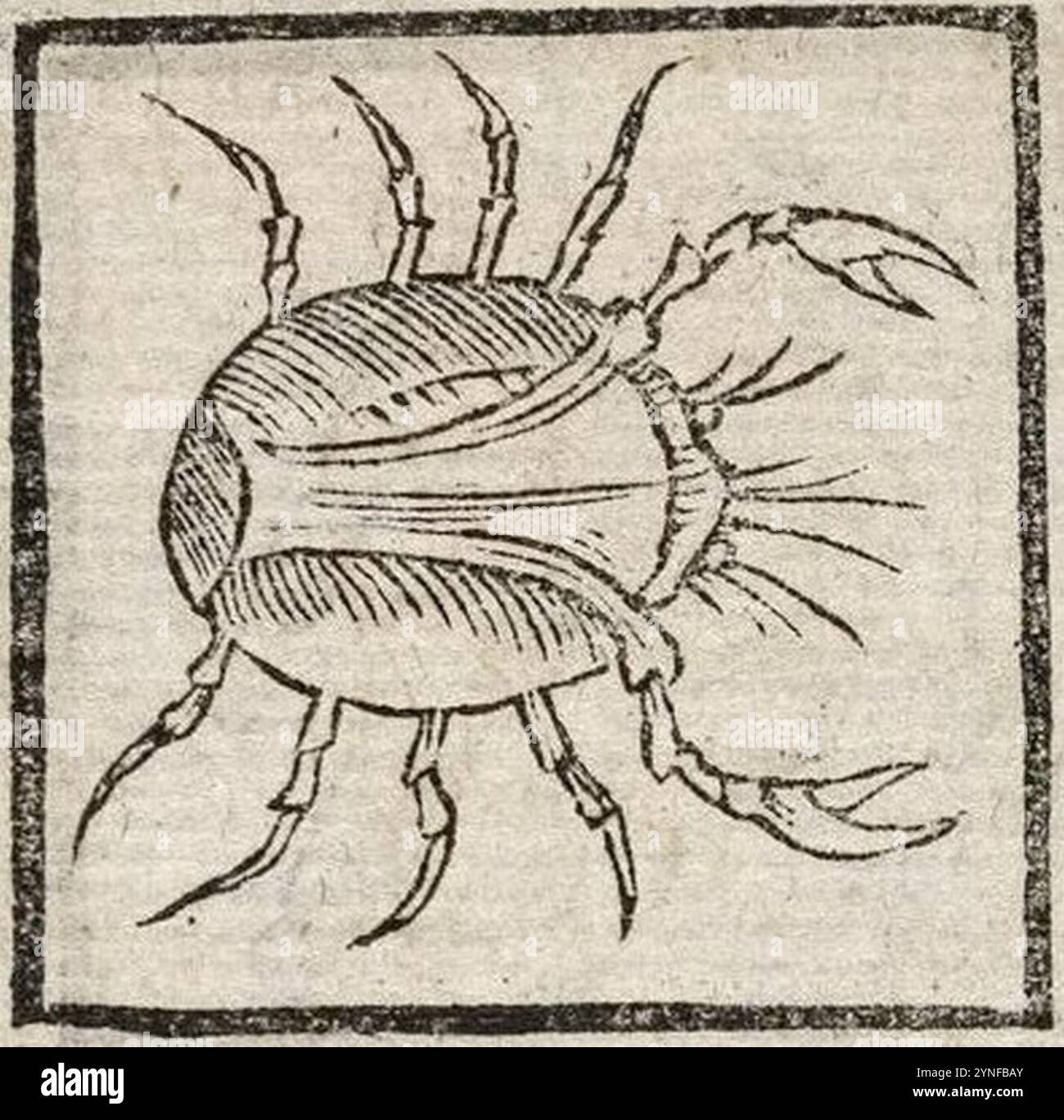 Calendarium romanum hi-res stock photography and images - Alamy