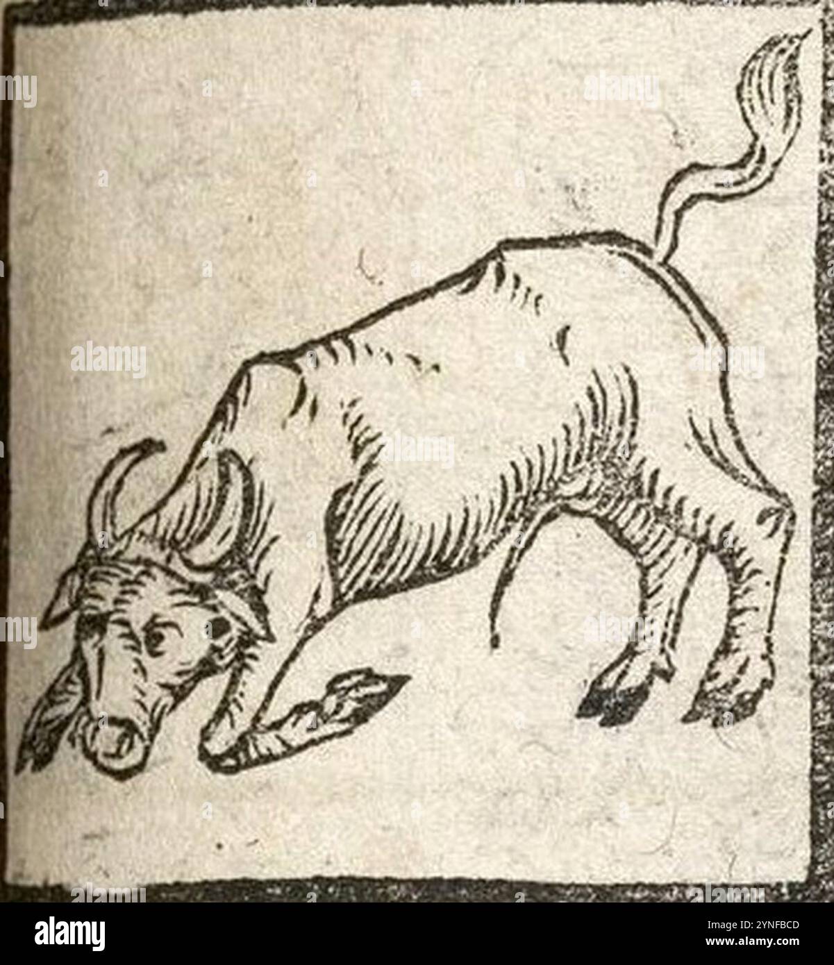 Calendarium romanum hi-res stock photography and images - Alamy