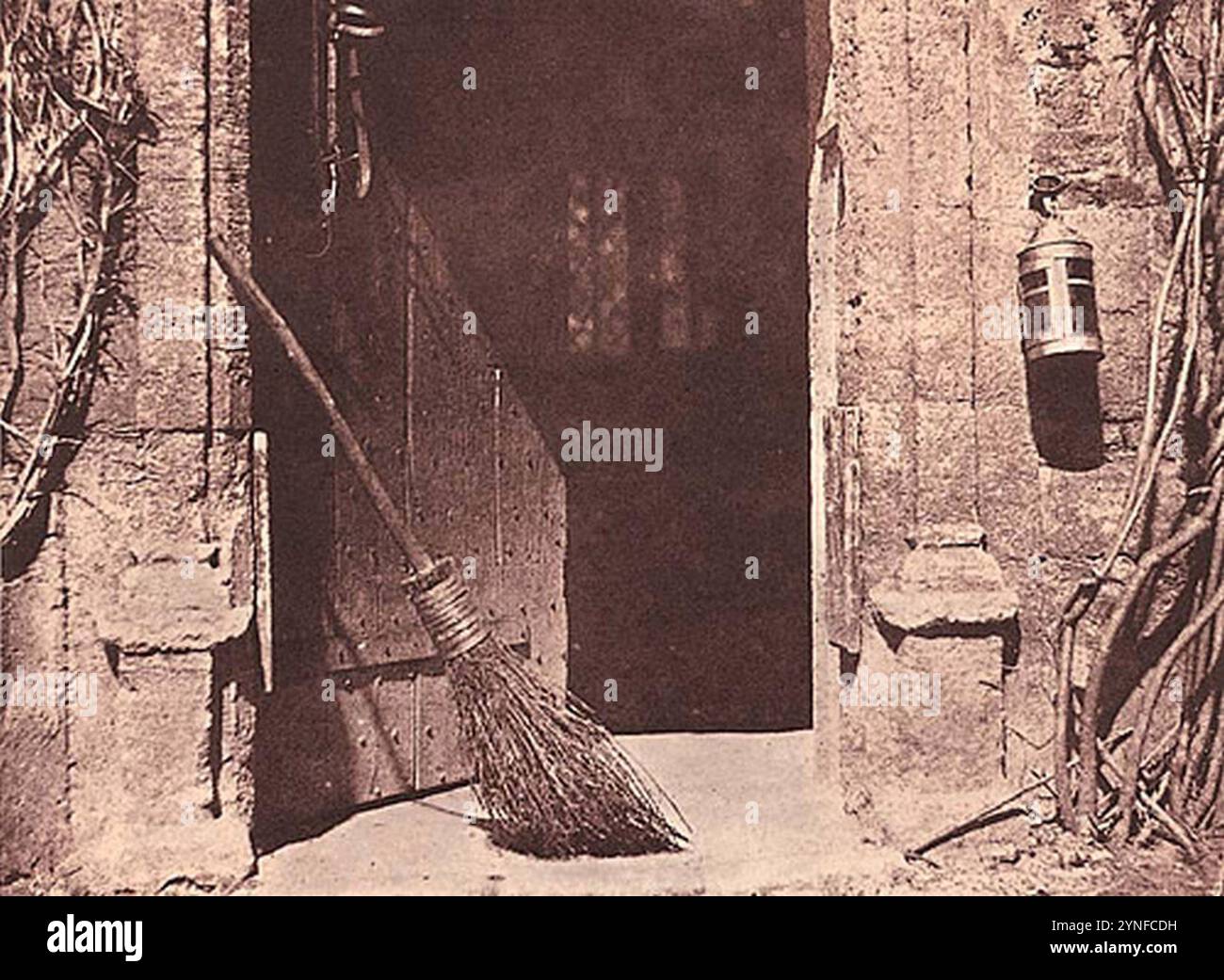 Calotipia scopa Talbot Stock Photo - Alamy