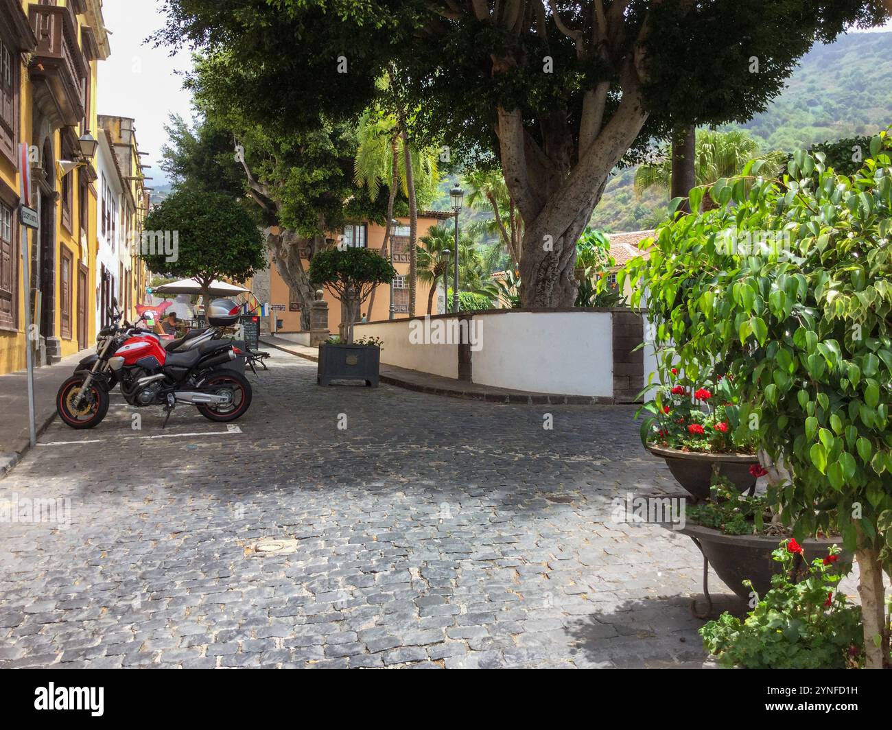 A peaceful street lined with trees and colorful plants features parked ...