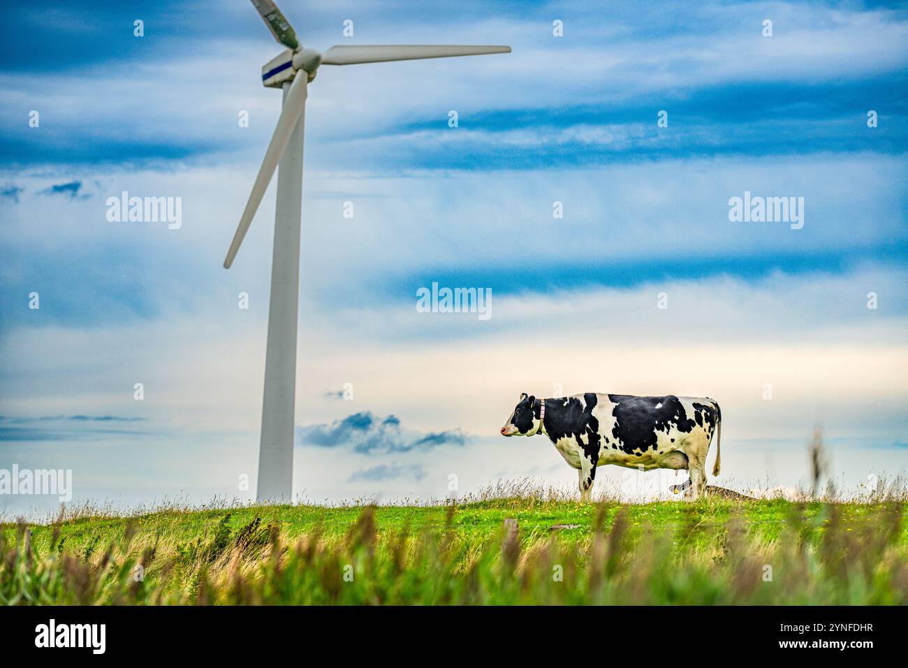 Wind energy. Green energy concept. Eco farm. Eco farming. Green ...
