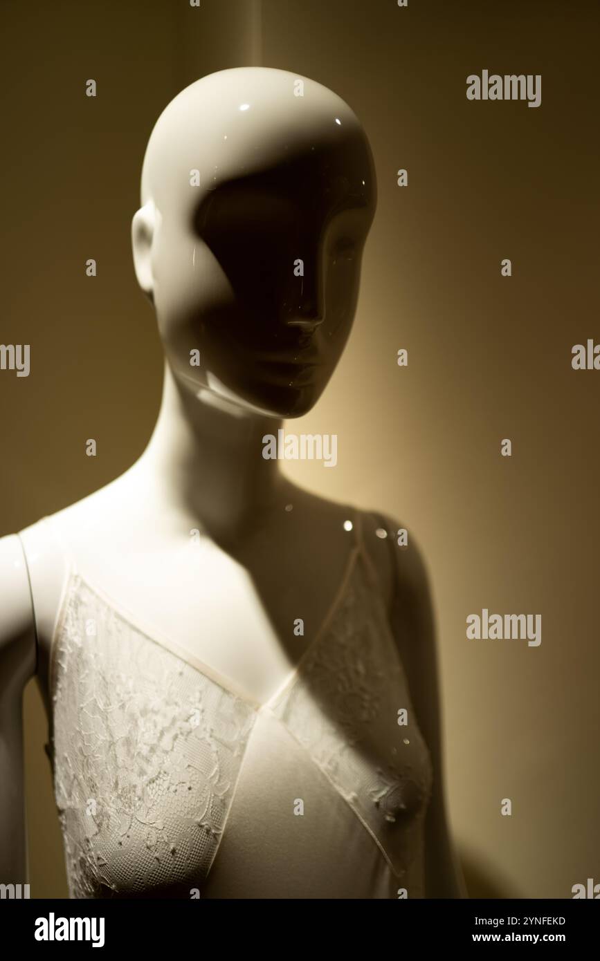 Dummy Head. Mannequin clothes. Dummy head for boutique. Fashion, style ...