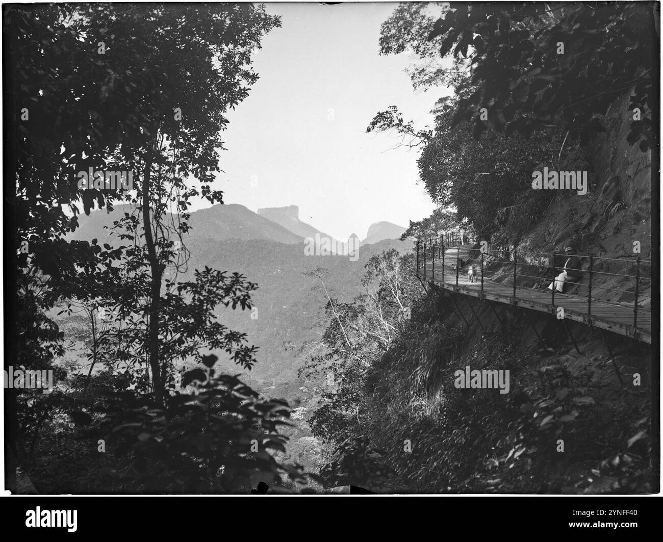 Caminho suspenso na Floresta da Tijuca, ao fundo, a Pedra da Gávea ...