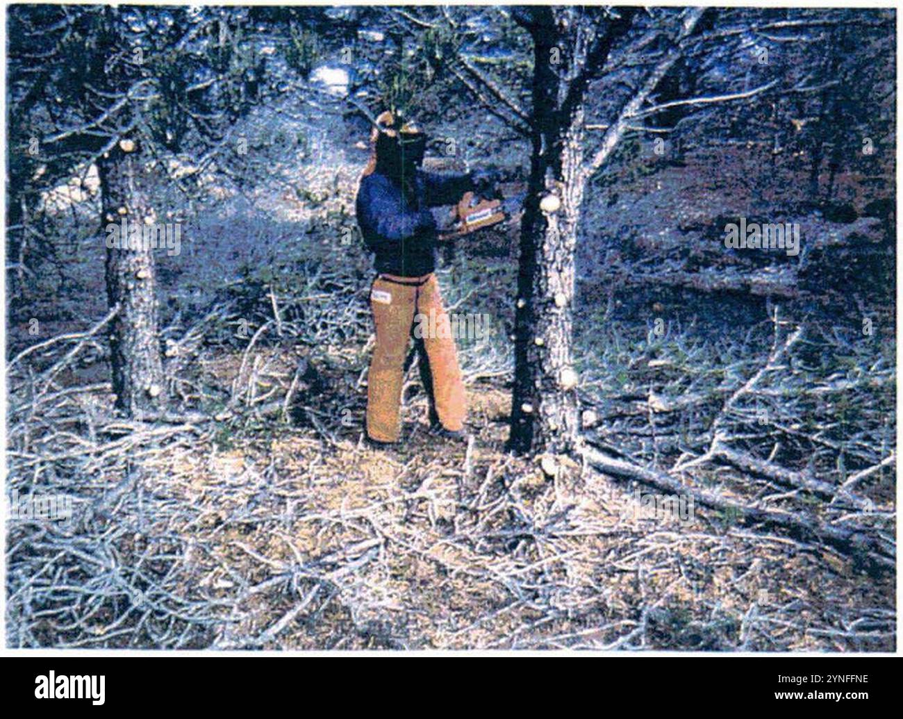 Camp Wellfleet Final EECA Figure 1-5 a Stock Photo - Alamy