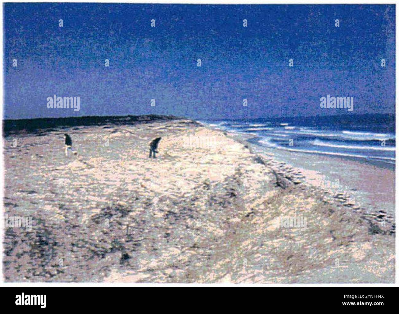 Camp Wellfleet Final EECA Figure 1-6 a Stock Photo - Alamy