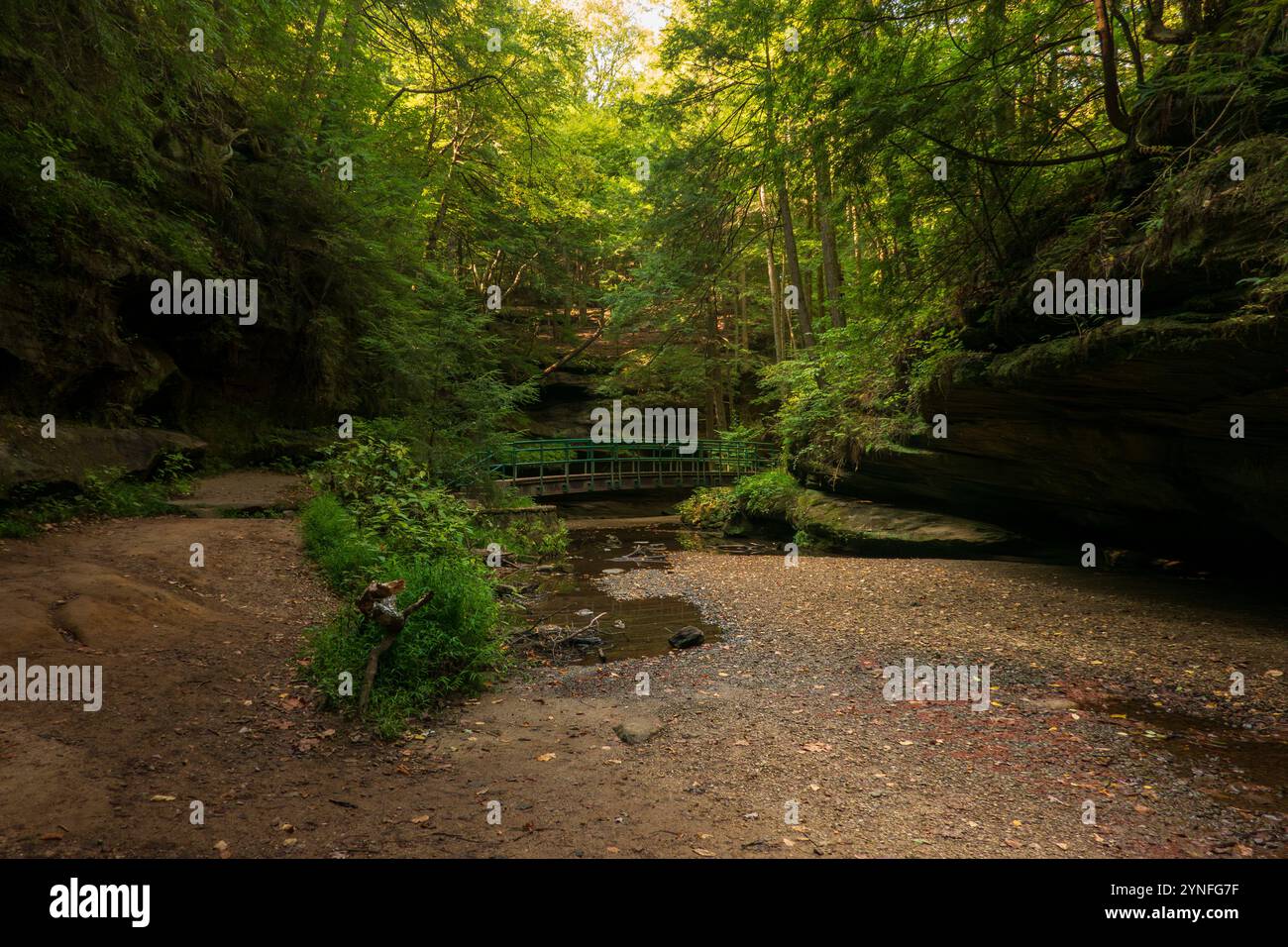 Rocky Path and Bridge in Hocking Hills with Copy-Space Stock Photo - Alamy