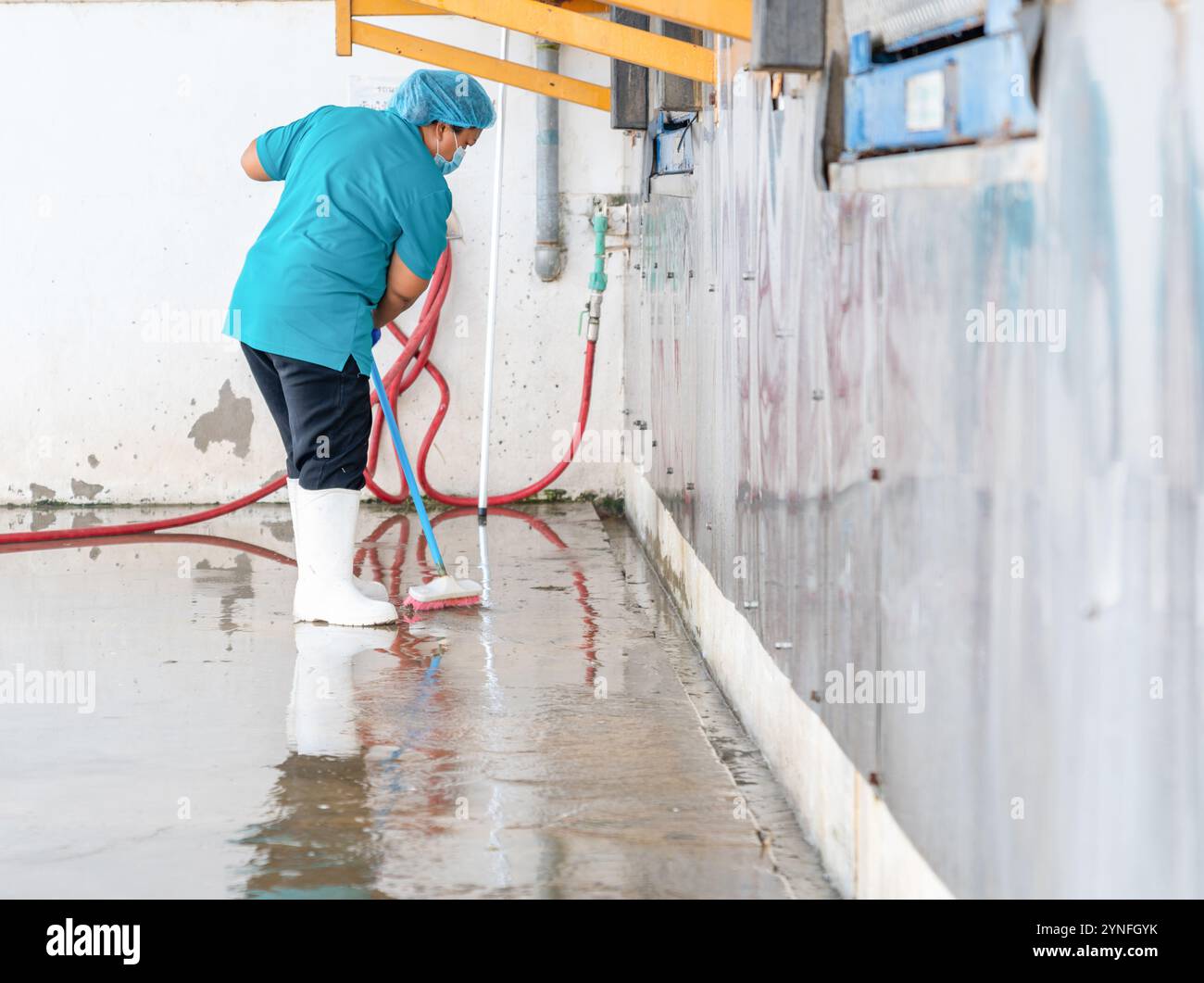Commercial cleaning tools hi-res stock photography and images - Alamy