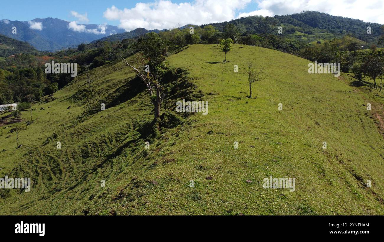 Chirripó costa rica hi-res stock photography and images - Alamy