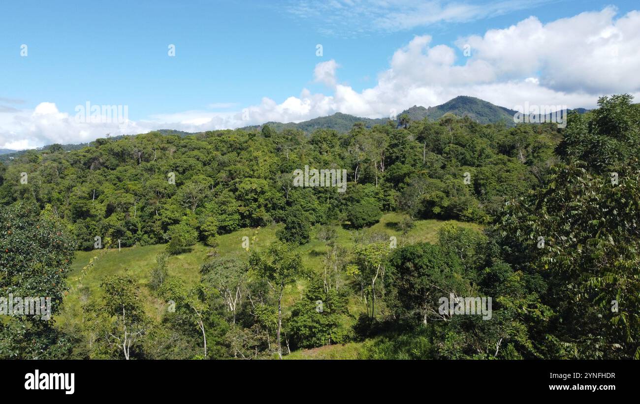 Biodiversity costa rica hi-res stock photography and images - Alamy