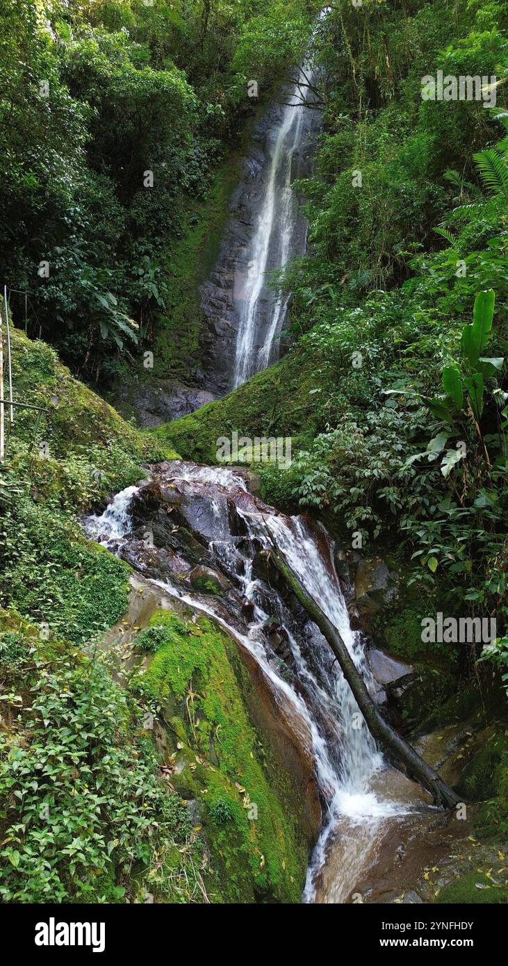 Chirripó costa rica hi-res stock photography and images - Alamy