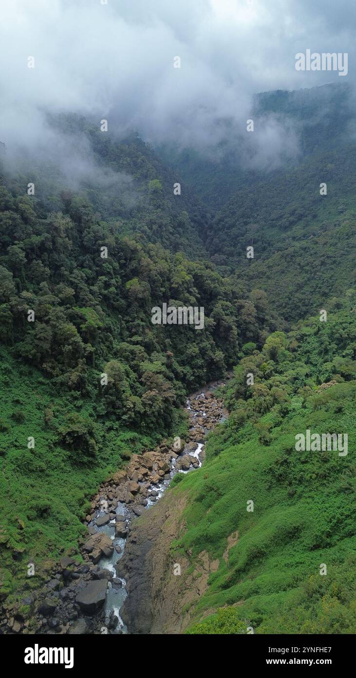 Metaponto river, Costa Rica Stock Photo - Alamy