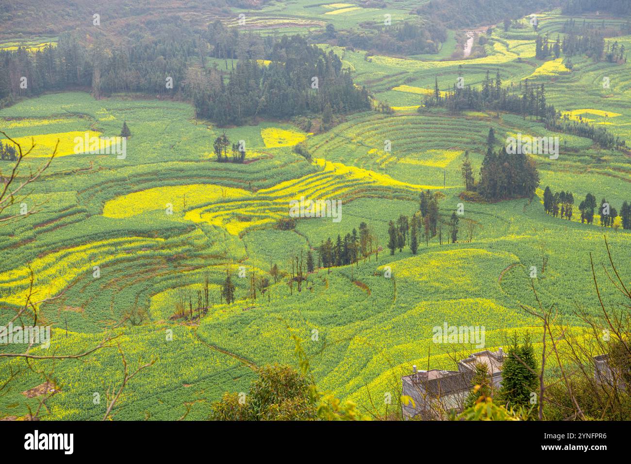 Aerial view of rural Chinese fields with mountains and clouds in Luosi ...